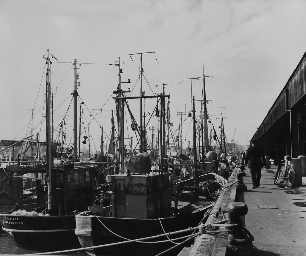 Photographs Of Newcastle: Old Photos of North Shields Fish Quay