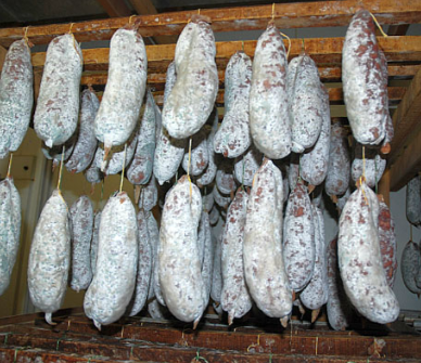 French Vocabulary Illustrated: salaison