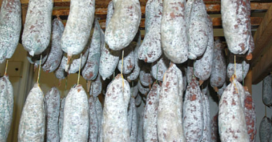 French Vocabulary Illustrated: salaison