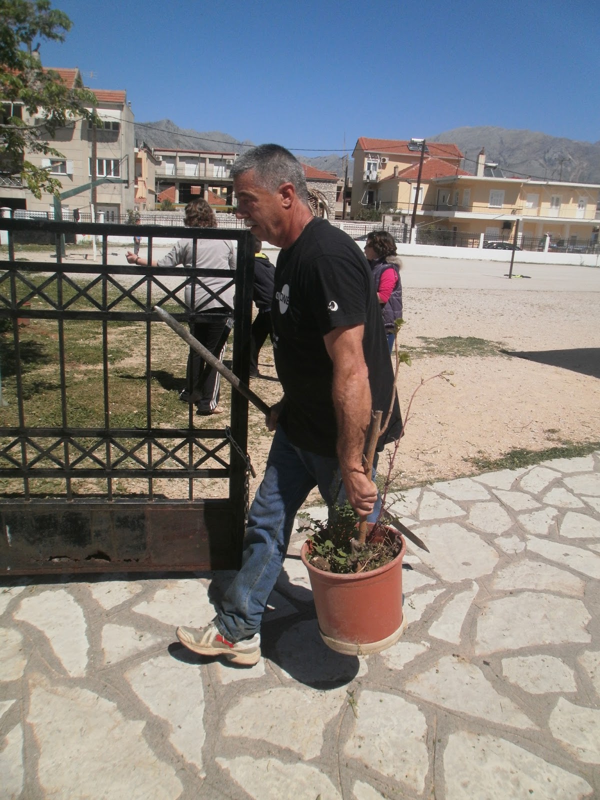 ΔΗΜΟΤΙΚΟ ΣΧΟΛΕΙΟ ΜΥΤΙΚΑ ΑΙΤΩΛΟΑΚΑΡΝΑΝΙΑΣ: Ιανουαρίου 2017