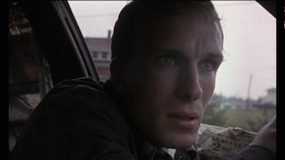 Criterion Confessions: CLEAN, SHAVEN - #354