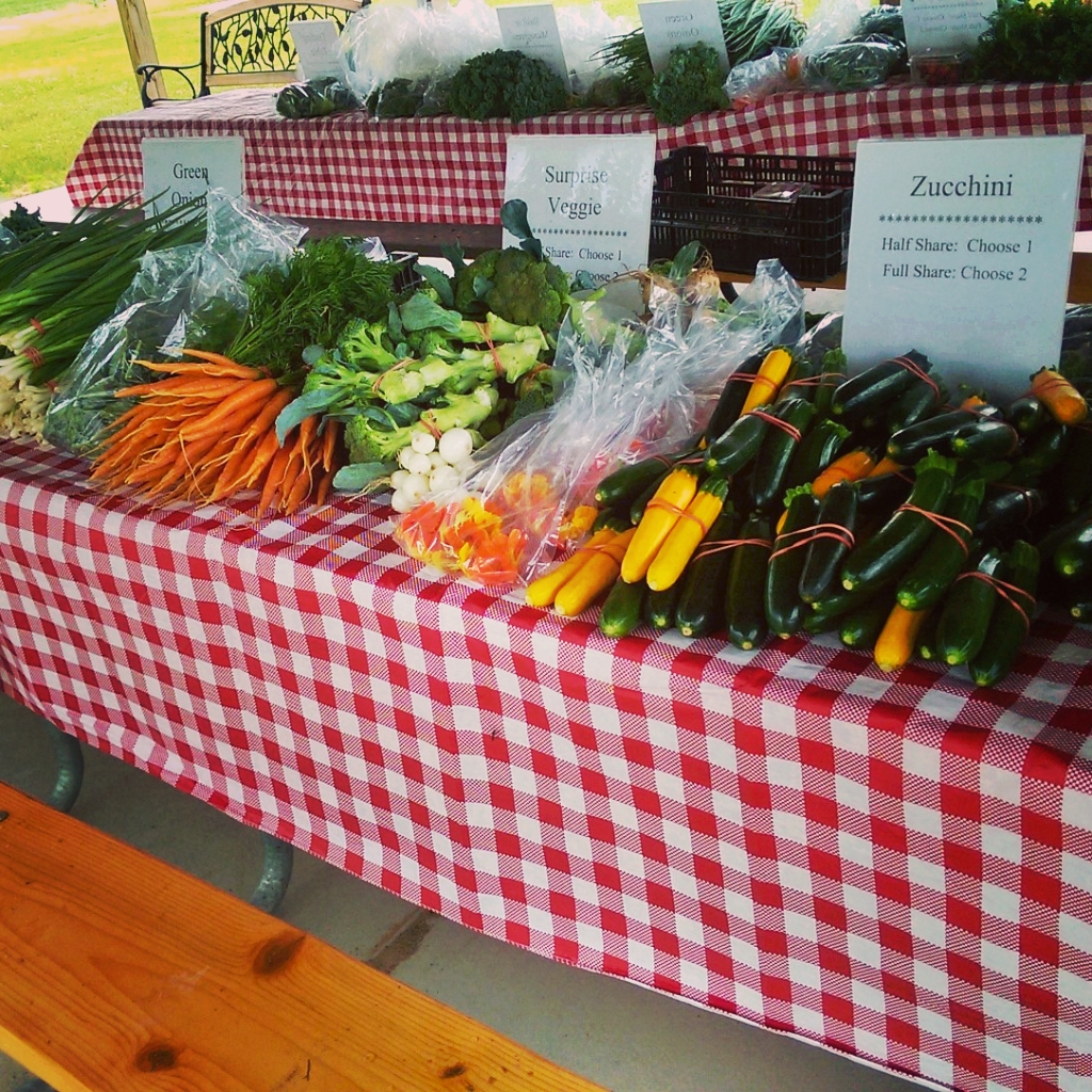 Monroe Family Organics CSA Newsletter: What to Expect at Your First CSA ...
