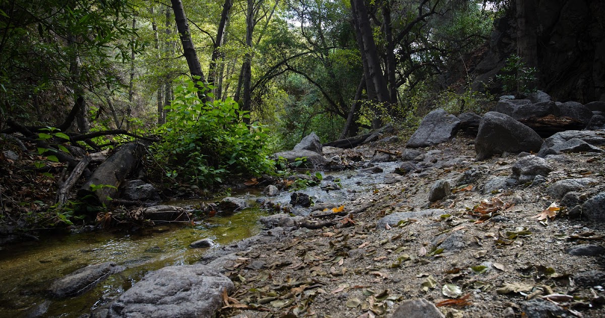 Ruben Williams Photo Journey