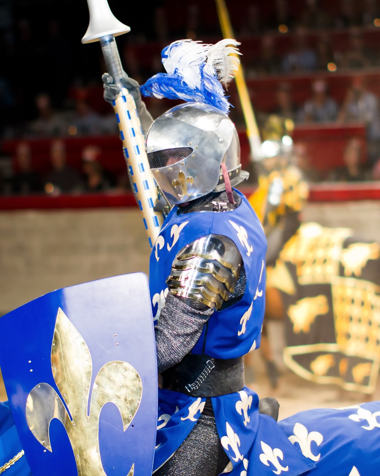 Want to be transported to a different realm where Knights reign? Check ...