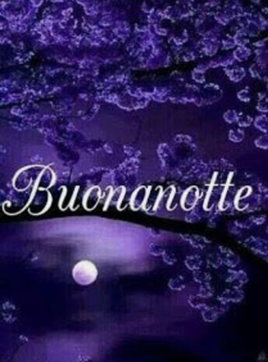27 Good Night images in italian | Buonanotte images