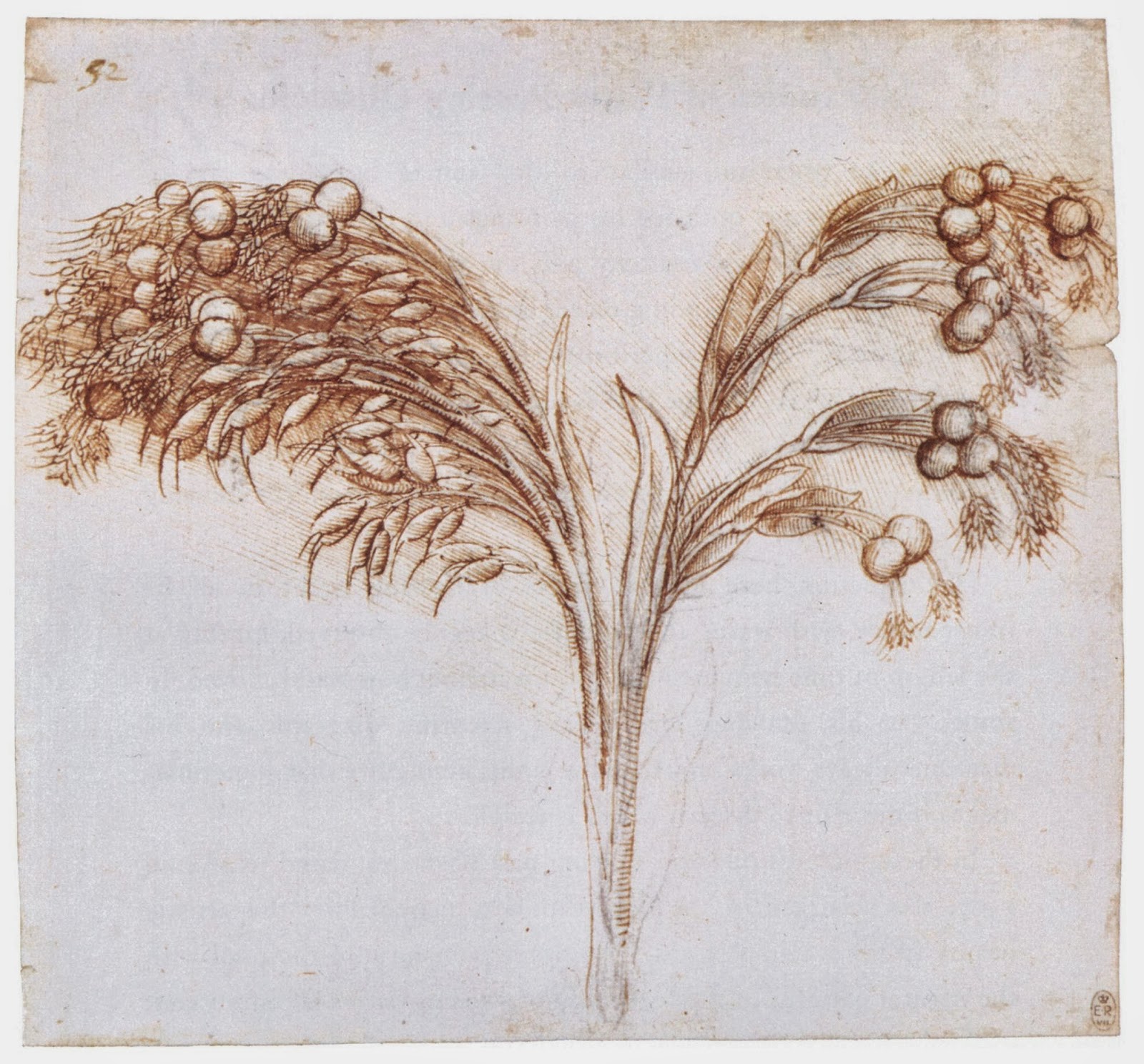 Joyful Art: Drawings of Leonardo da Vinci