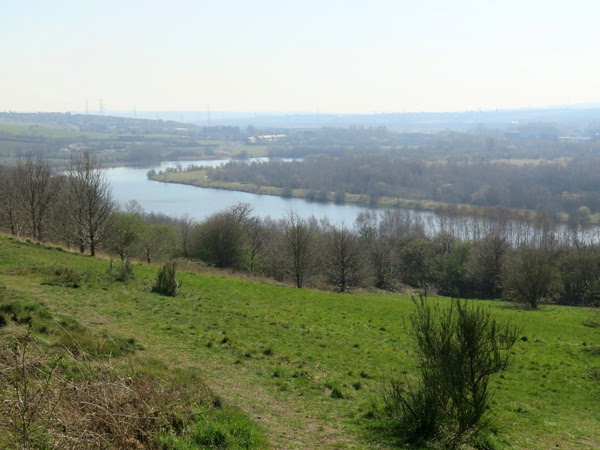 The Language of Stone: A Walk Around Treeton Dyke