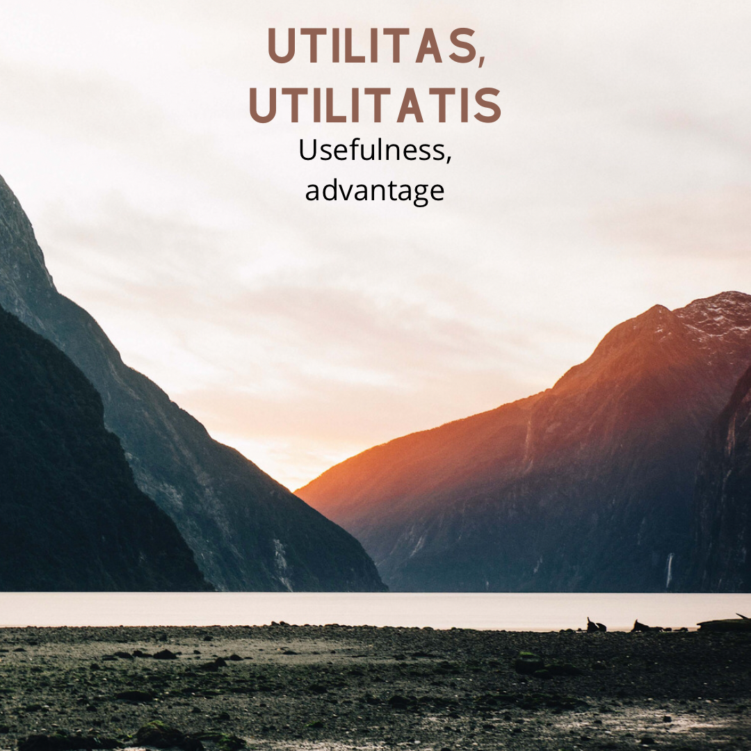 The Utility of Latin