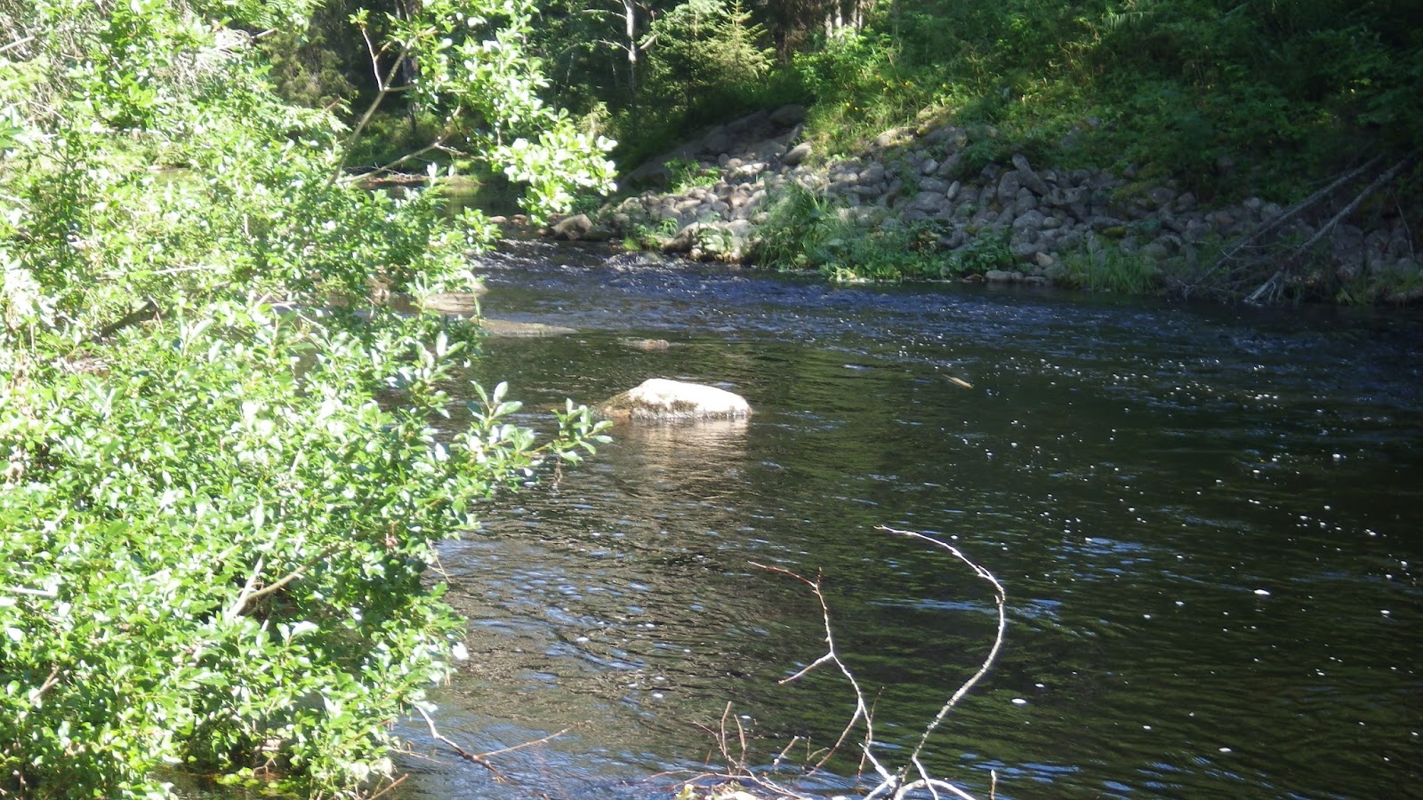 The no Birds In The Clouds: Palsankoski, Multia, Finland