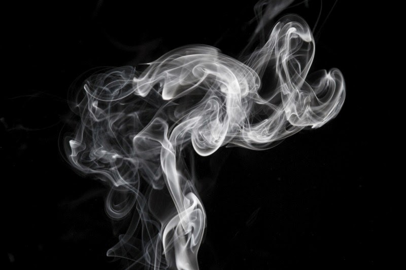 Paula Francisca Miño Venegas: Nuevo concepto: HUMO