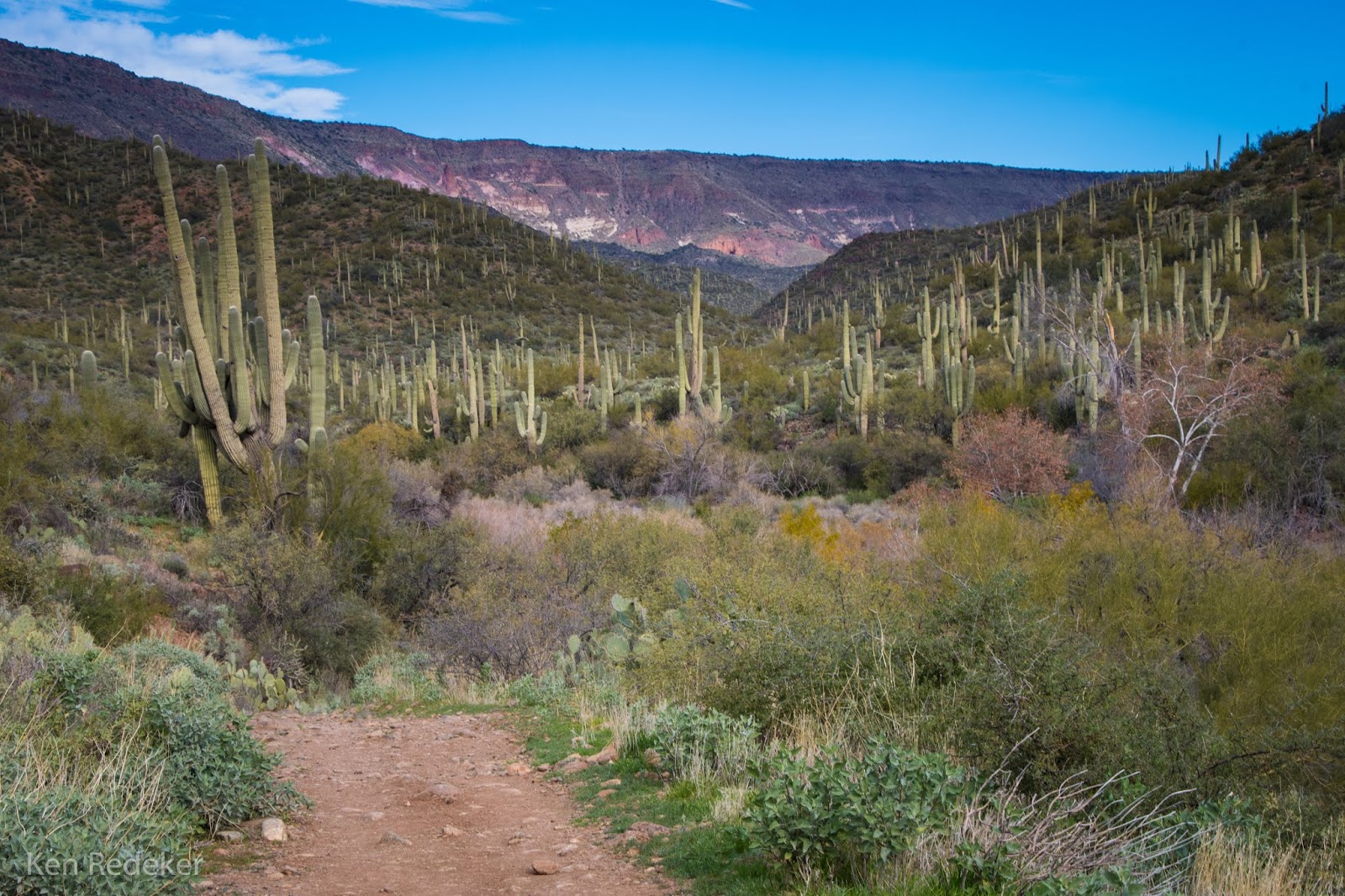 The Adventures of Ken: Ruins at Chalk Canyon - Cave Creek