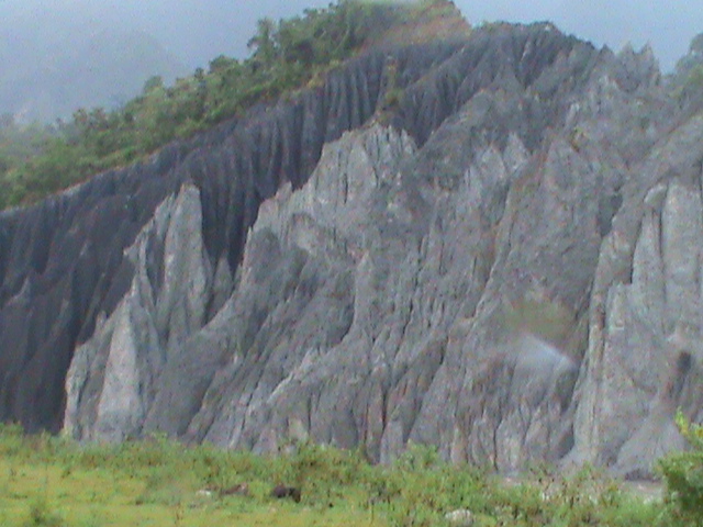 Raidak forest in North Bengal | Dooars Ecoviillege