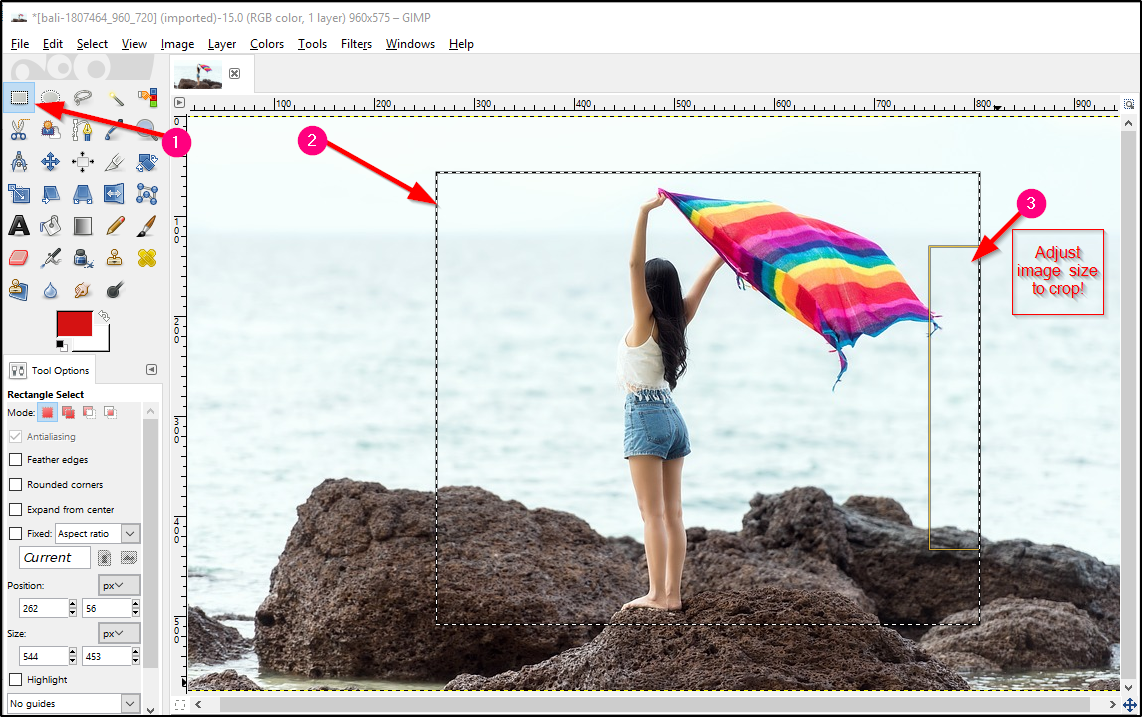 Steps to Crop any Image using GIMP