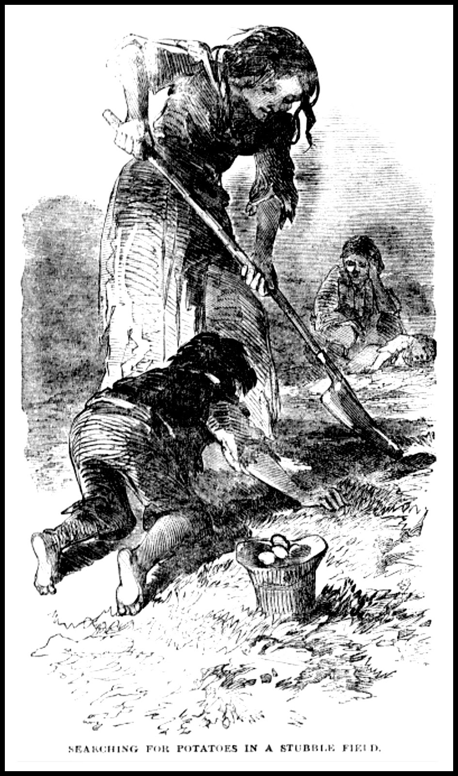 Maytor Healy 1818 -1894: The Potato Famine of Ireland 1845 -1852