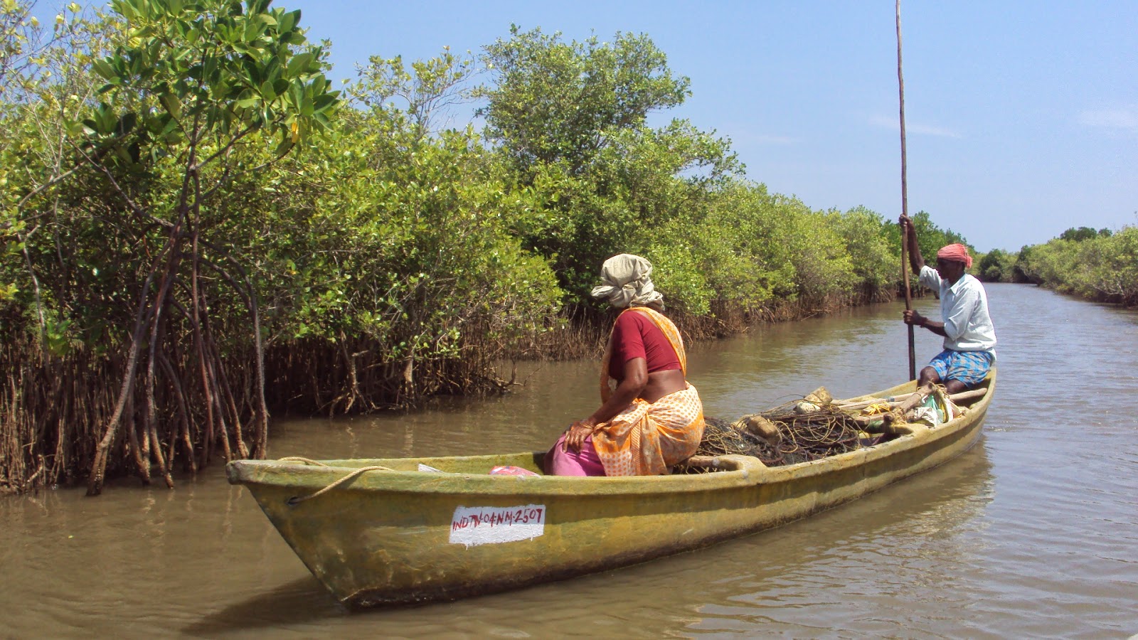 On An Enthralling Boat Ride in Pichavaram Mangrove Forest