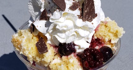 On Second Scoop: Ice Cream Reviews: DQ Summer Berry Cake Cupfection