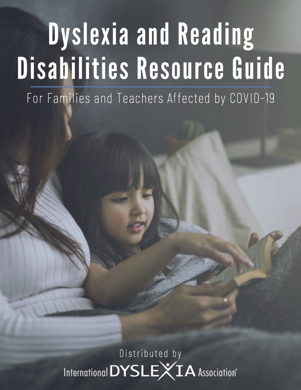 Landaiche: IDA Dyslexia and Reading Disabilities Resource Guide