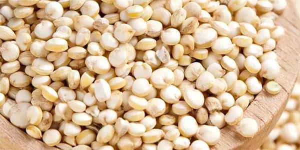 Benefits and Properties of Kinova