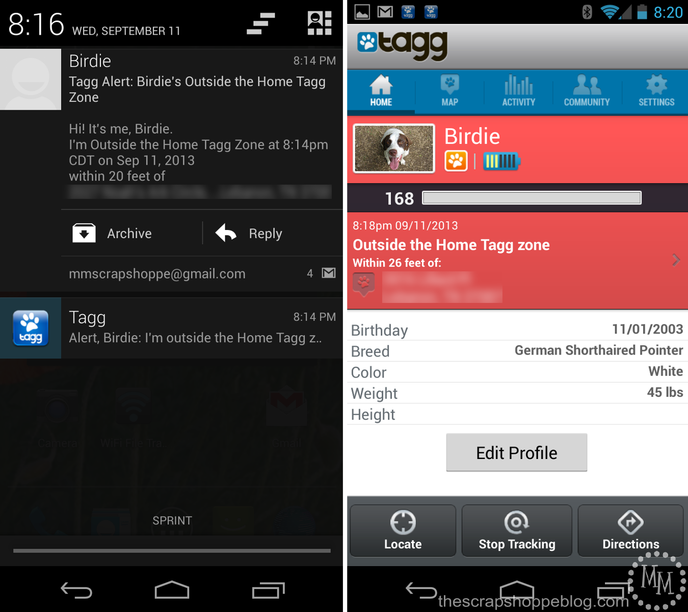 Tagg Pet Tracker - The Scrap Shoppe