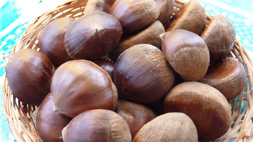 alice's kitchen: traditional lebanese cooking