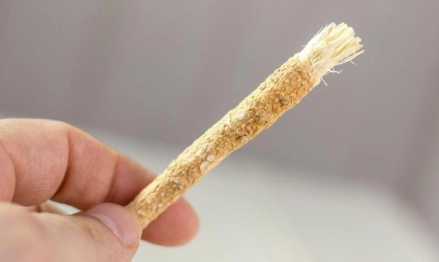 √ Review Pasta Gigi Sasha Mengandung Siwak, Apa sih Sebenarnya Manfaat ...