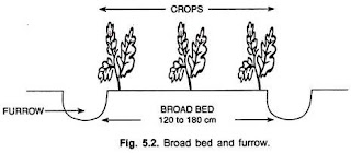 Lakhan Patidar Agri-Preneur: Broad Bed and Furrow System (BBF) for ...