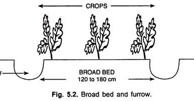 Lakhan Patidar Agri-Preneur: Broad Bed and Furrow System (BBF) for ...