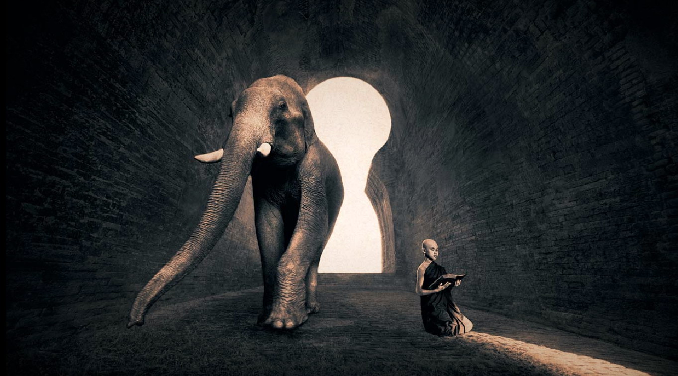 Anthony Luke's not-just-another-photoblog Blog: Photographer Profile ...