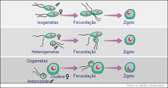 Keep Calm And Study: CIÊNCIAS BIOLÓGICAS
