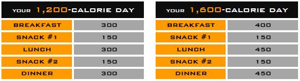 POLAND POWER - P90X® P90X2® INSANITY® BODY BEAST® : Focus T25® - Odżywianie