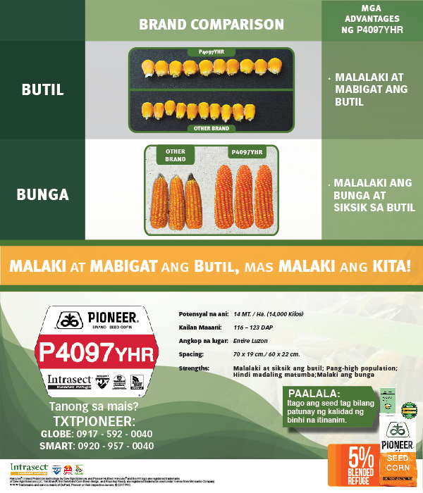 Pioneer Corn Experience