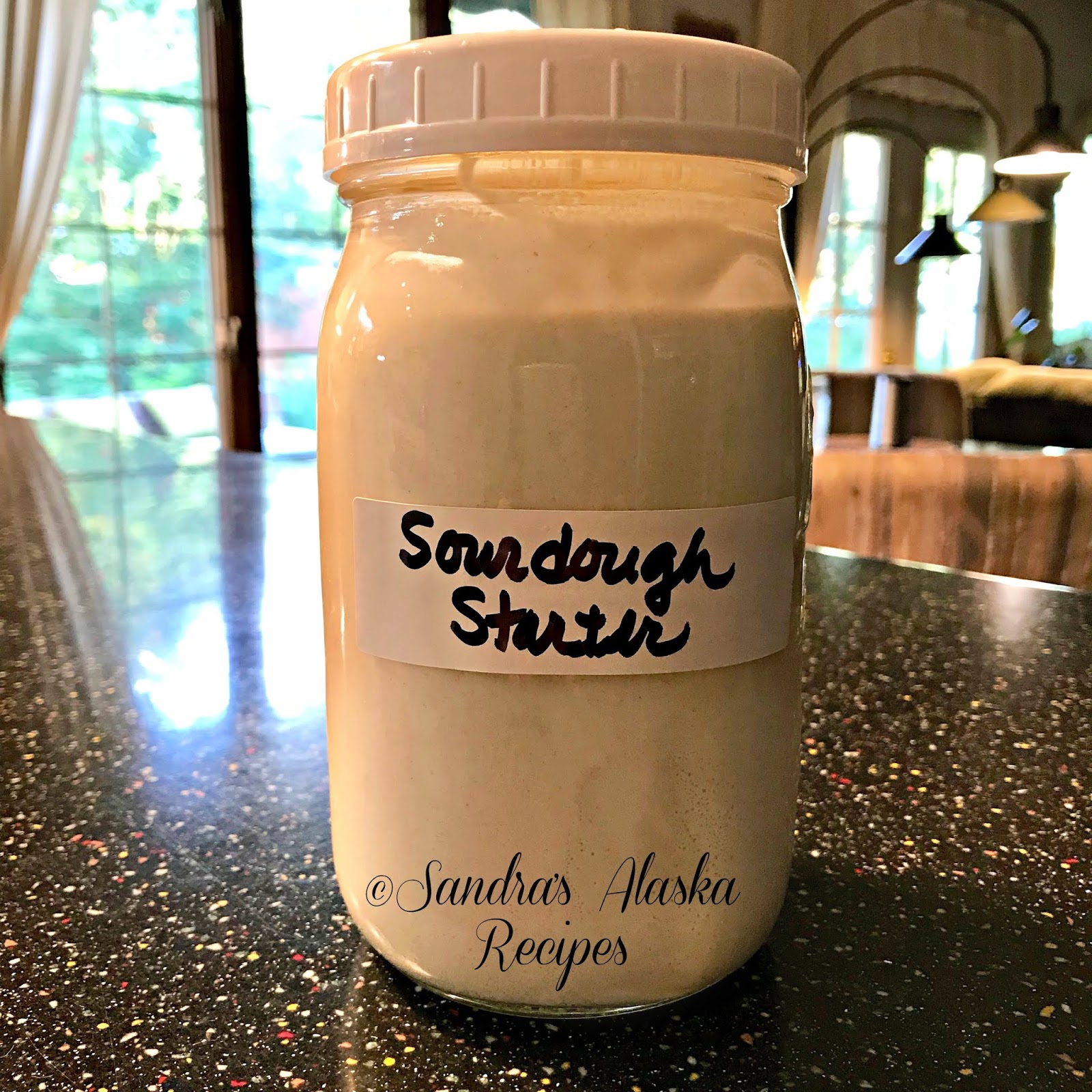 Sandra's Alaska Recipes: SANDRA'S OVERNIGHT ALASKA SOURDOUGH BREAD LOAF