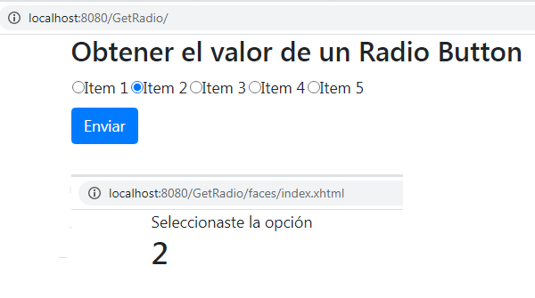 Josel Toro: Ejemplo Radio Button