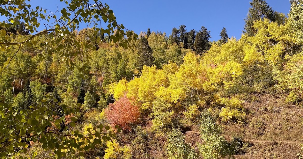 Wasatch Weather Weenies: Fall Colors