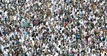 Tout Droit: Comment lutter contre la surpopulation