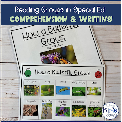 Little Miss Kim's Class: Reading Groups in Special Education: Working ...