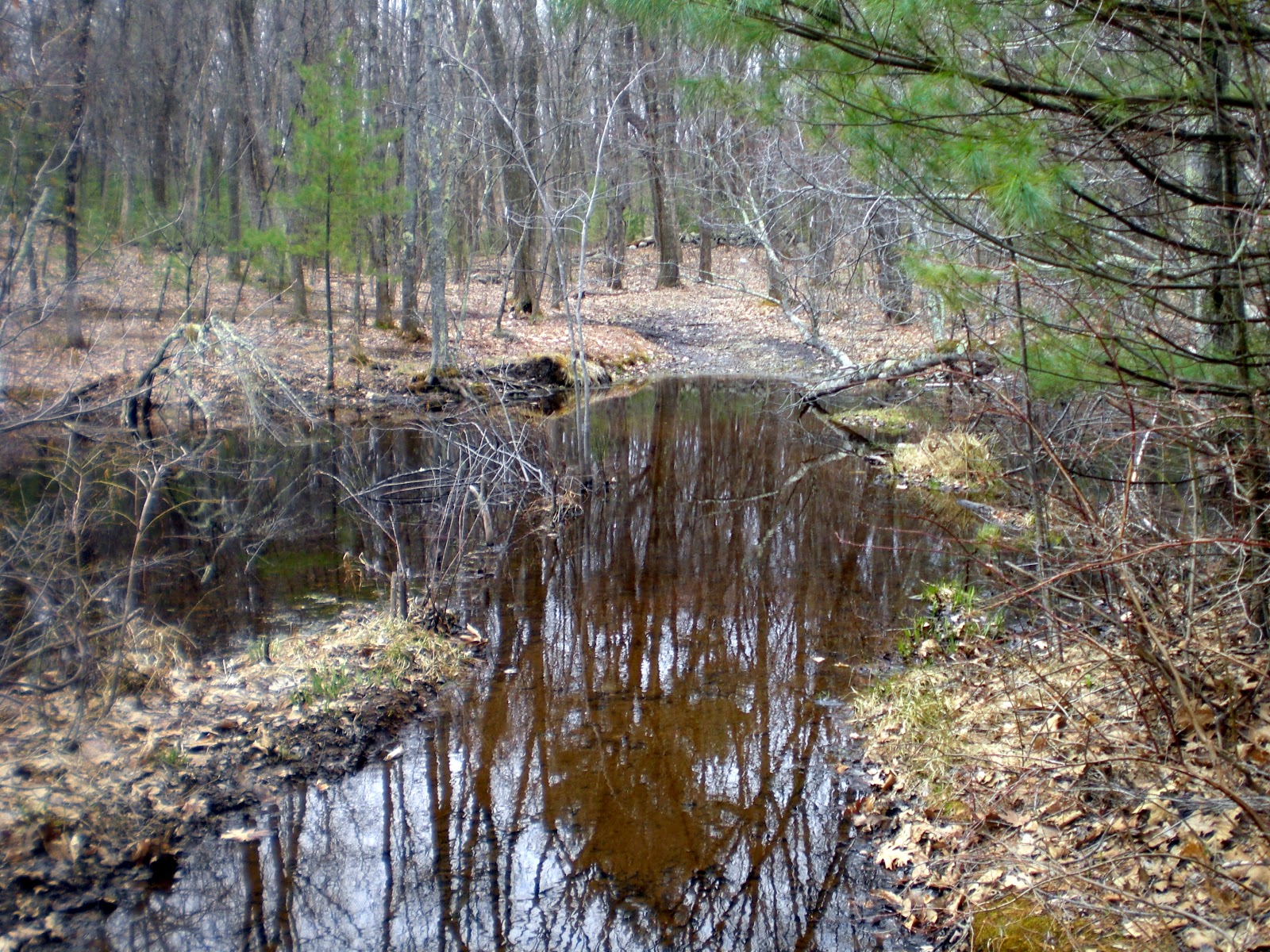 Breakheart Trail Running: Bay Circuit Trail Run, Section 2 - Boardwalks ...