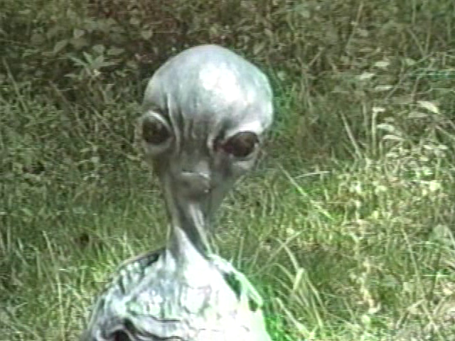 Feeders (1996) Review by RevTerry - VideoReligion Cult Film Review