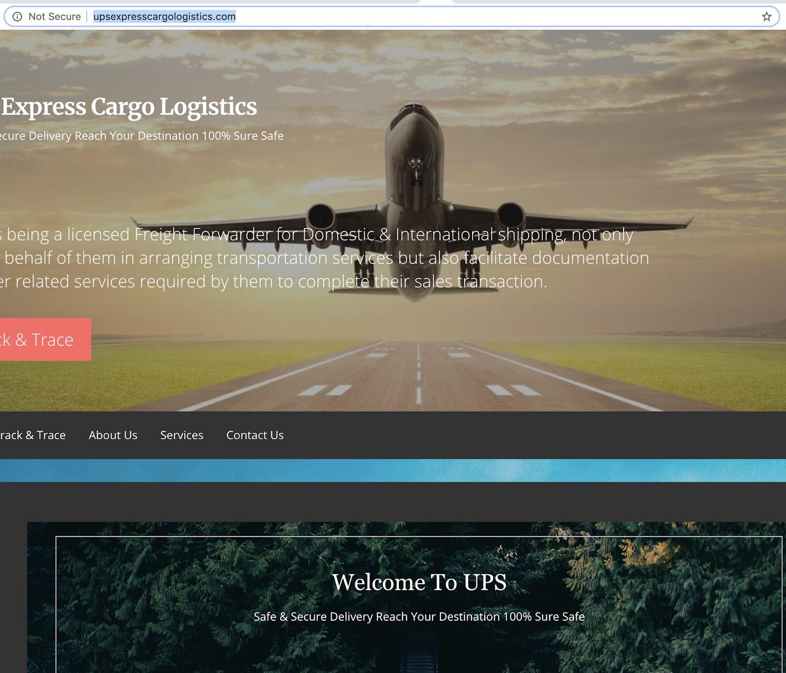 Scam Fraud Fake - Shipping Tracking Logistics Sites