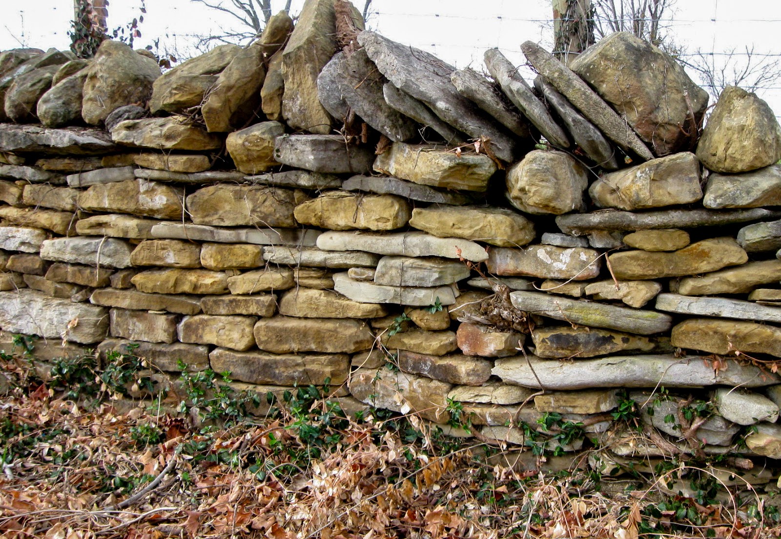 FOLKWAYS NOTEBOOK: EARLY KENTUCKY STACKED ROCK FENCES 1700s to 1800s