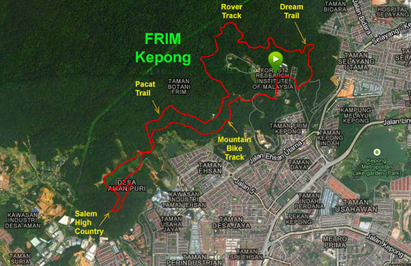 KC & the Sunshine Runners: May 2014