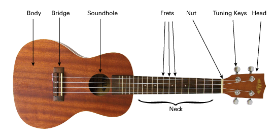 UKULELE FOR YOU: Uke #4 - Ukulele Anatomy