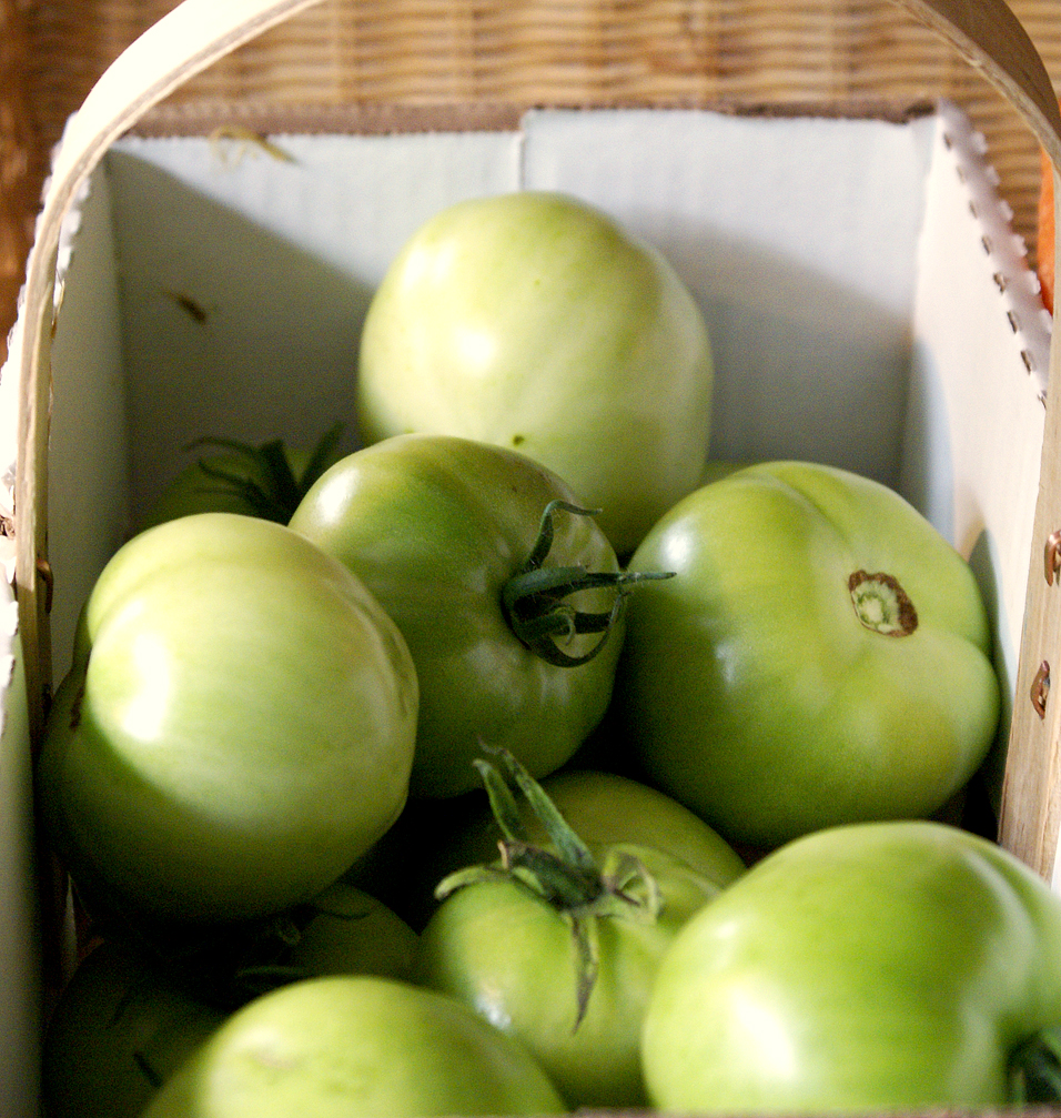 Recipes From June's Kitchen: The Green Has It - Green Tomato Salsa and ...