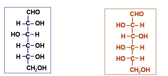 Explorando el mundo de la bioquimica: 2013
