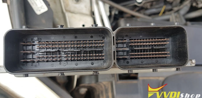 Will VVDI Prog Clone BMW ECU MSV80? | Xhorse VVDI Tools Software and ...