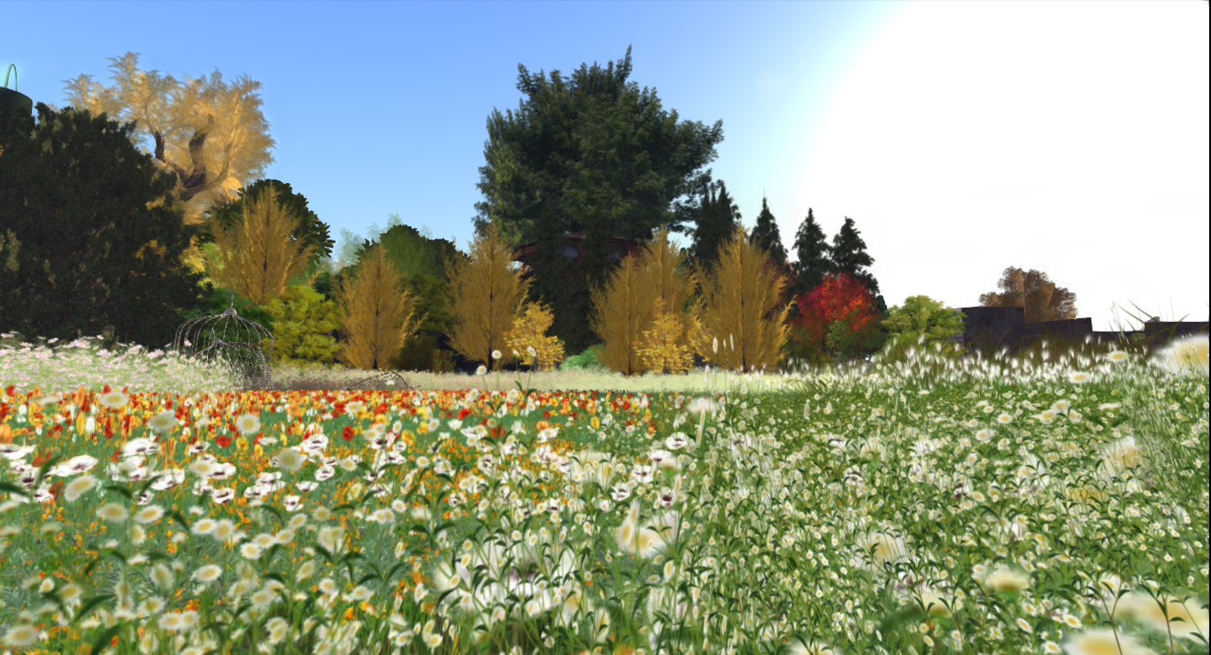 Virtual Dream & Travel: Flower Field