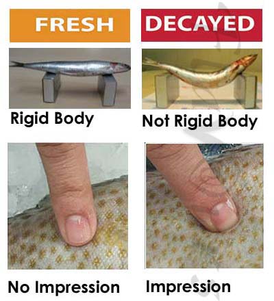 How to buy Fresh Fish -10 Tips to consider before selecting one | Get ...