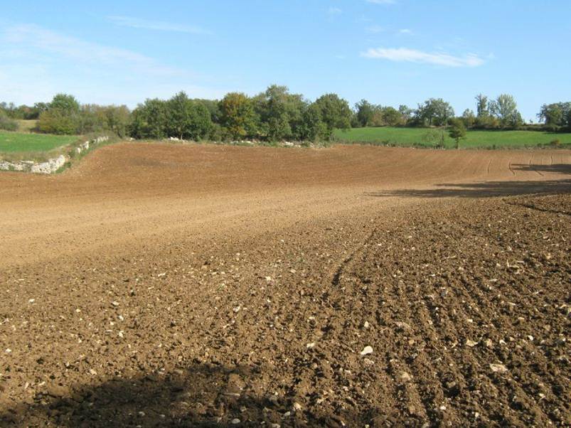 Verde Zona: Suelos, ¿cuántos tipos existen?