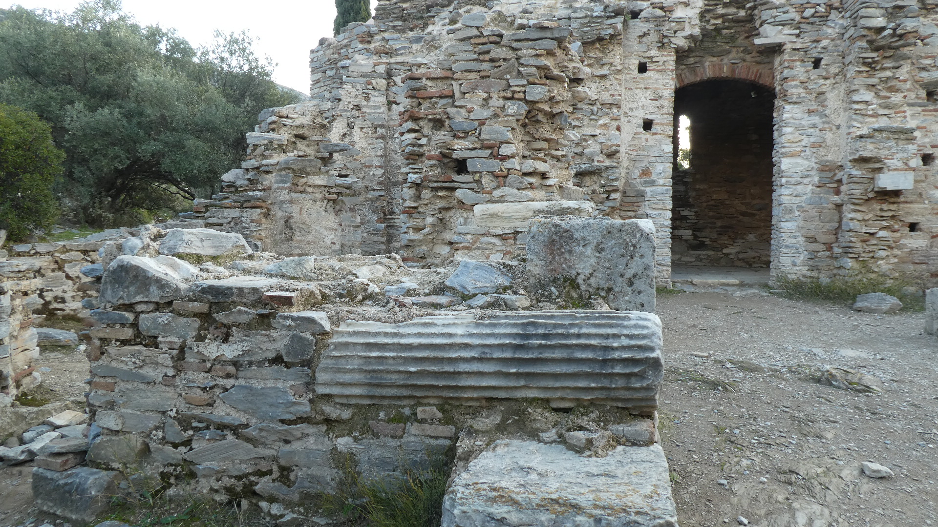 ΑΙΣΘΗΤΙΚΟ ΔΑΣΟΣ ΚΑΙΣΑΡΙΑΝΗΣ