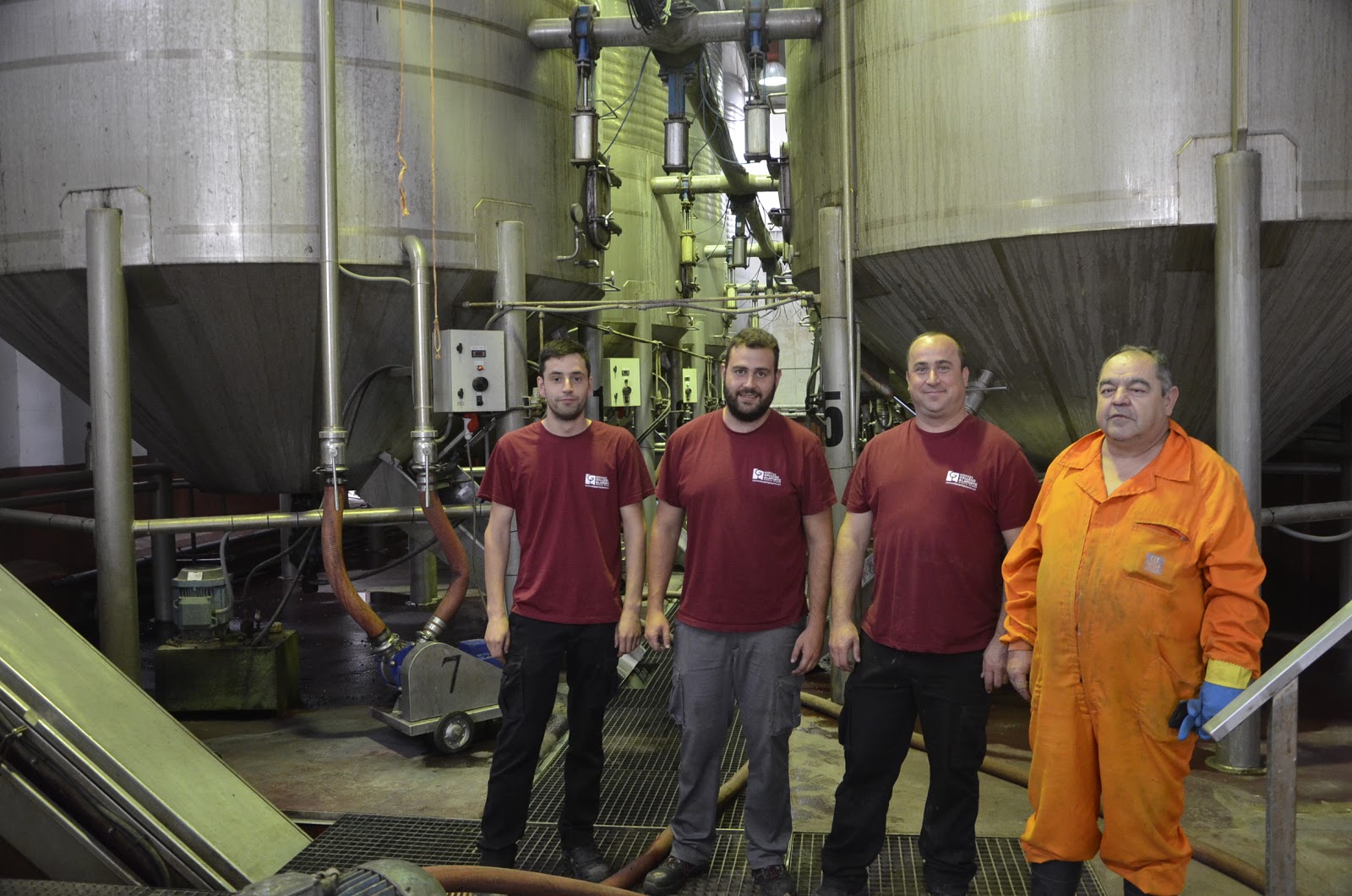 Harvesting grapes: winery tasks